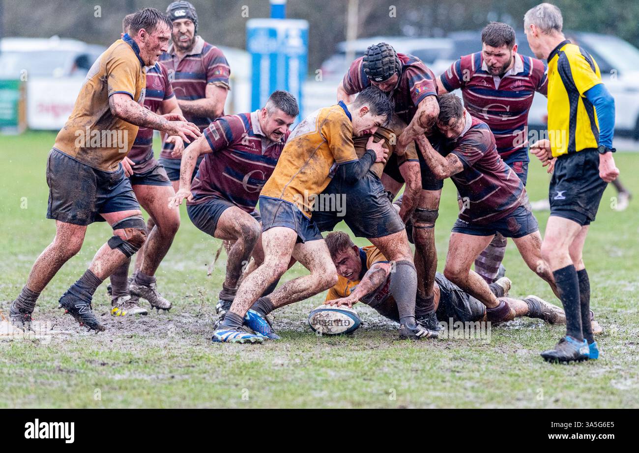 Mens amateur Rugby Union game played in wet and muddy weather Stock ...