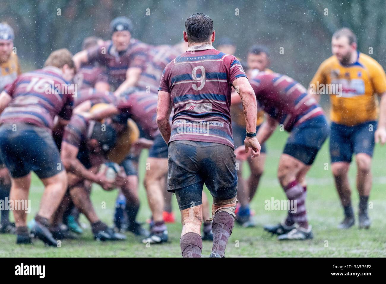 Mens amateur Rugby Union game played in wet and muddy weather Stock ...