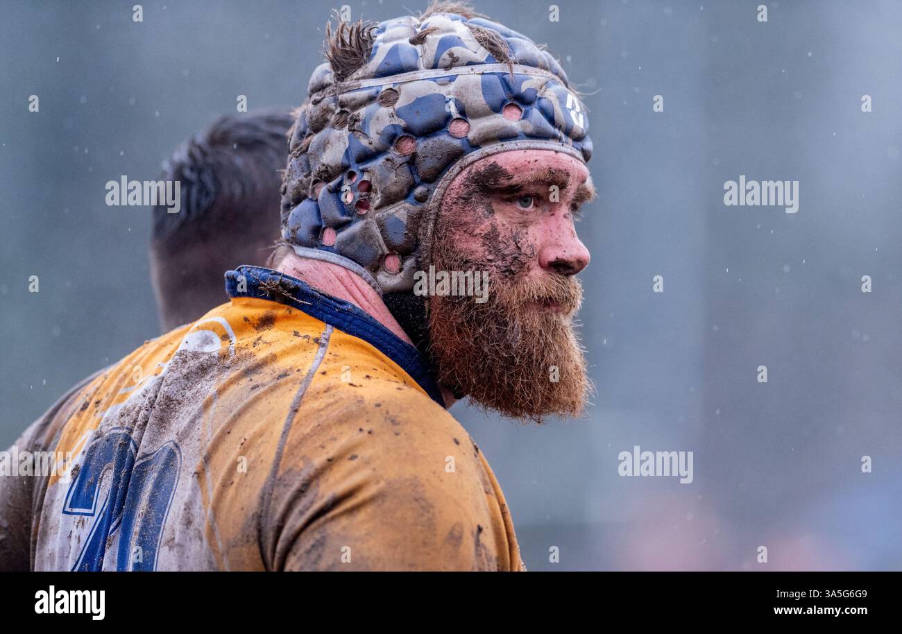 Mens amateur Rugby Union game played in wet and muddy weather Stock ...