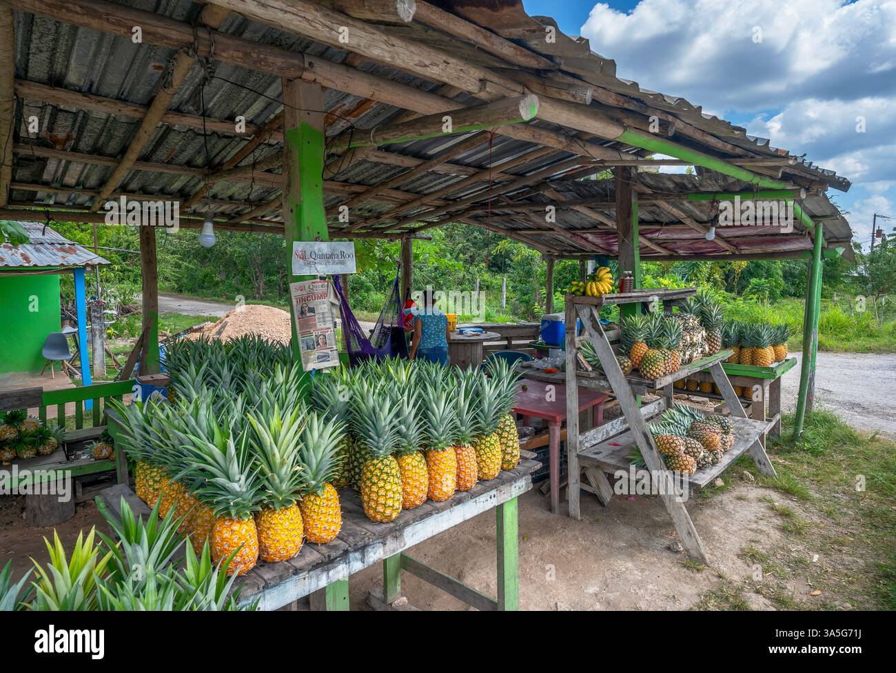 Pedro Antonio Santos, Quintana Roo, Mexico – March 04, 2025: Roadside ...