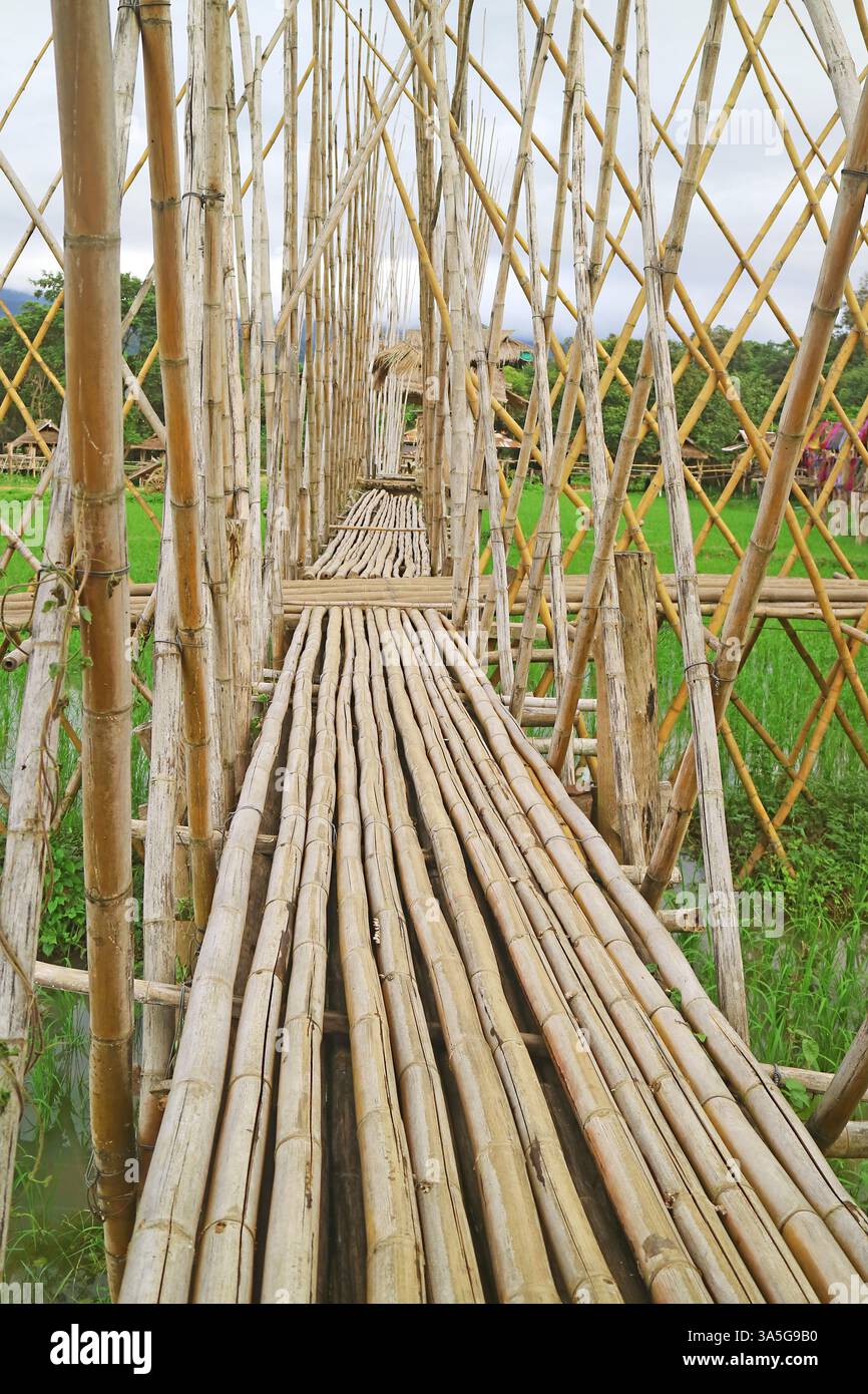 Bamboo bridge over the paddy field of Thailand's northern region Stock ...