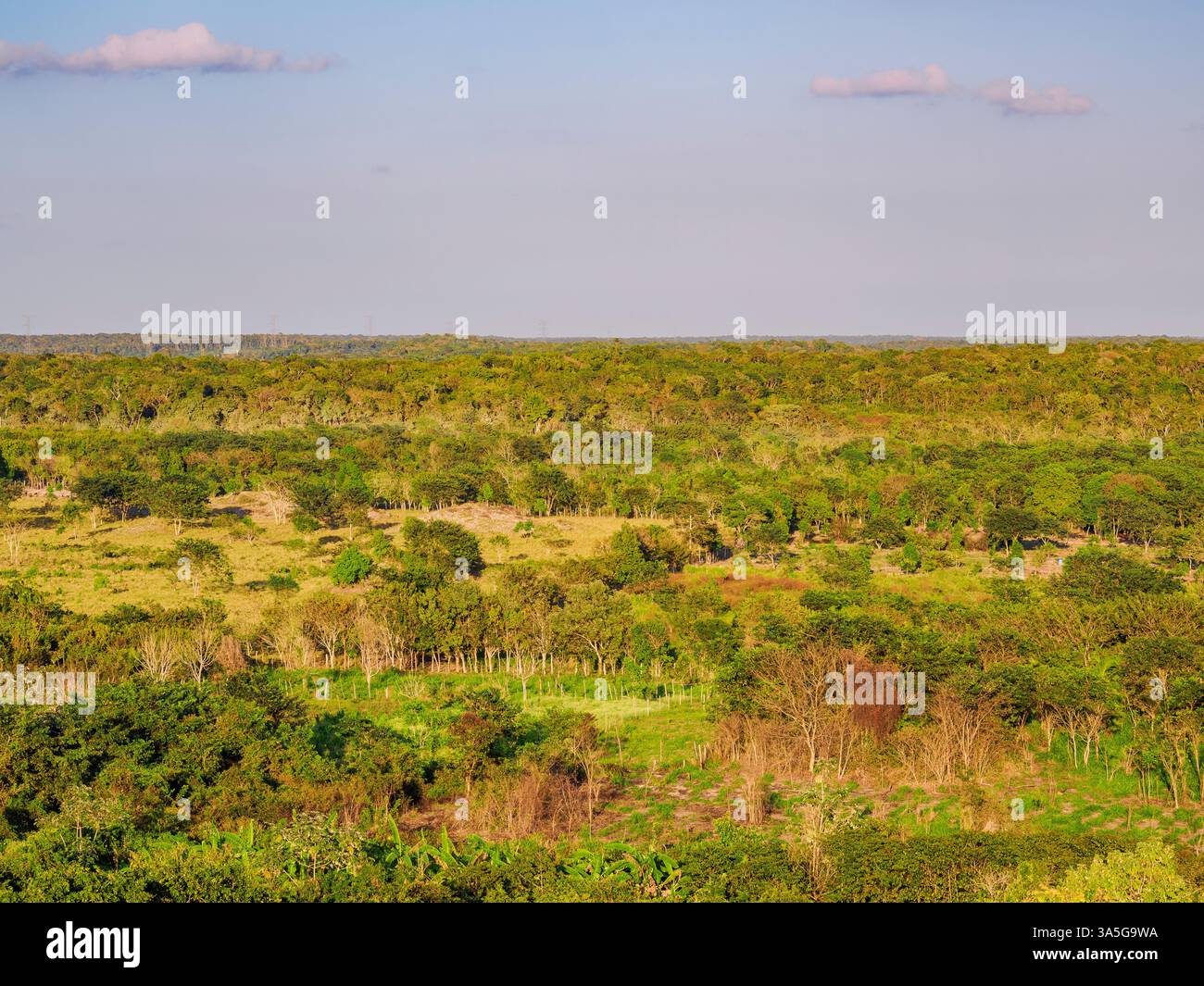 Landscape seen from Structure IX, Becan Archaeological Site, Campeche ...