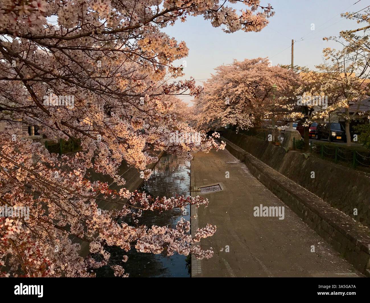Flowing gently beneath the canopy of spring, this river becomes a ...
