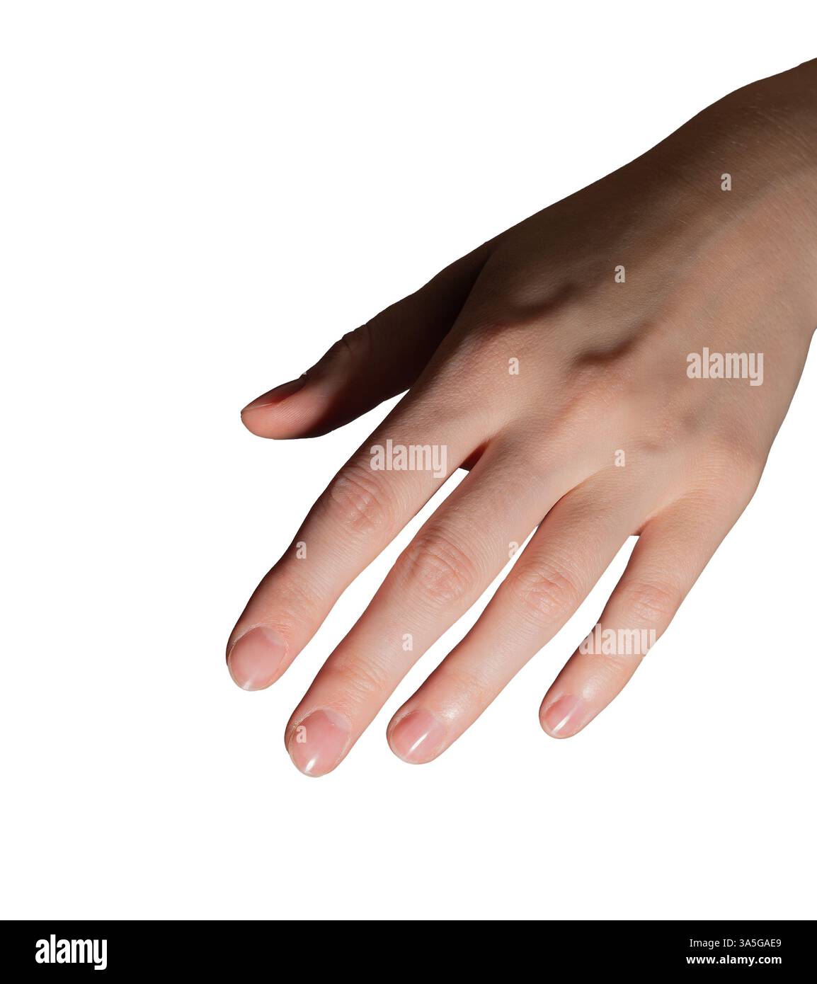 Hand with short, neat nails, showcasing natural, polished manicure ...