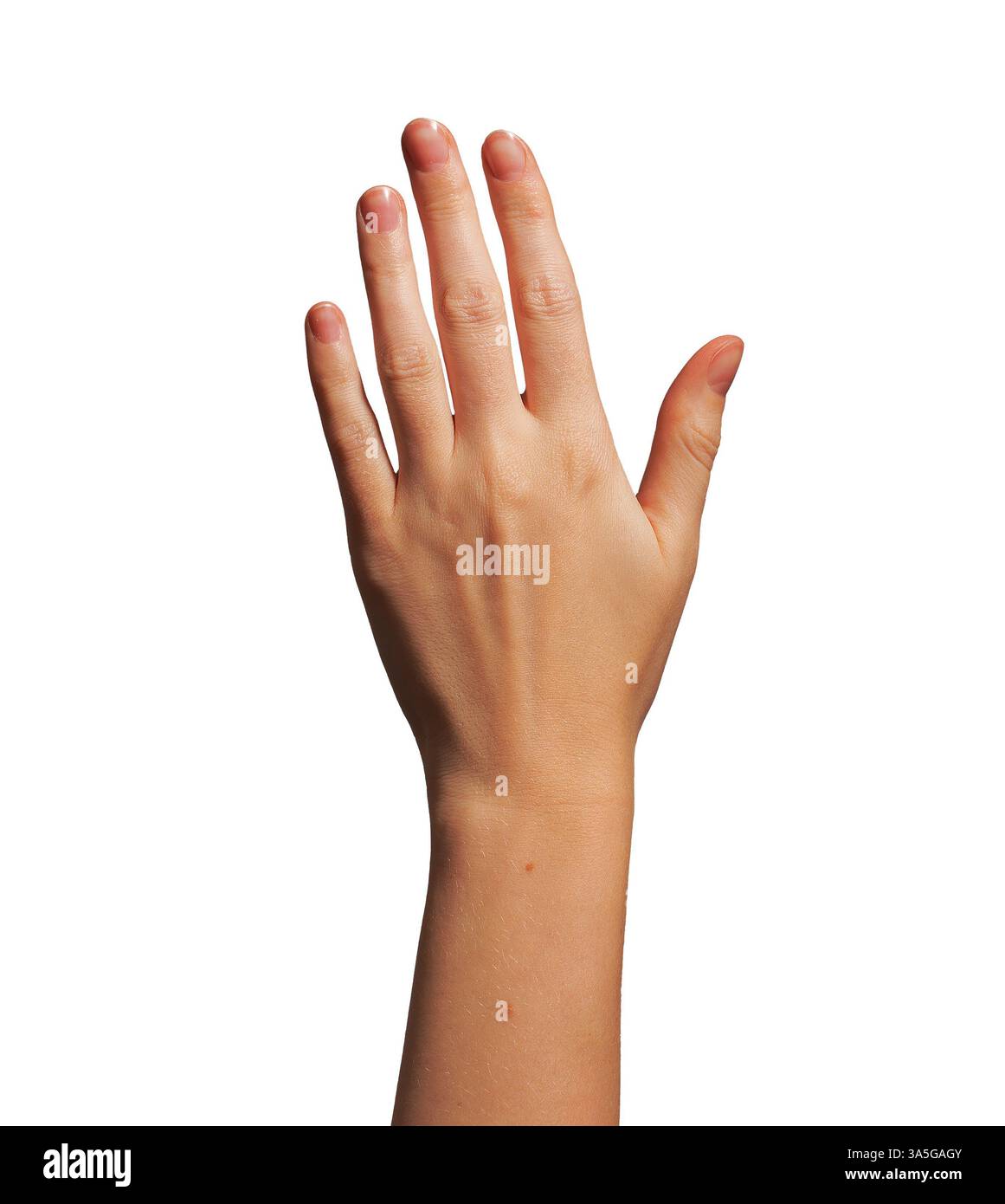 Hand raised in greeting, fingers open, waving with suntan visible on ...