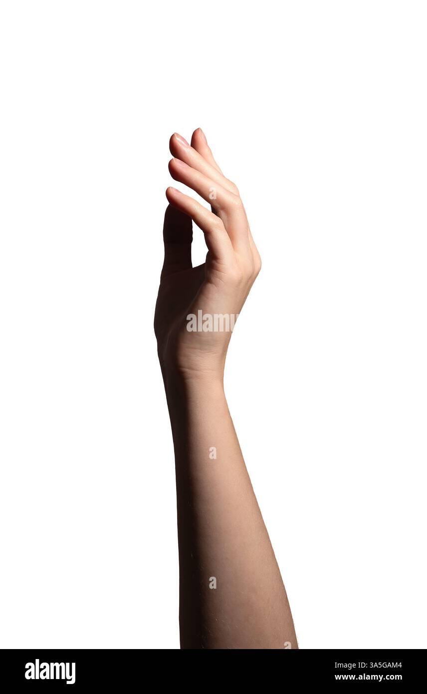 Female hand with gracefully curved fingers, extended in a soft and ...