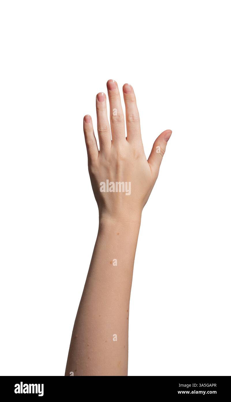 Female hand raised with an open palm, symbolizing a stop gesture ...