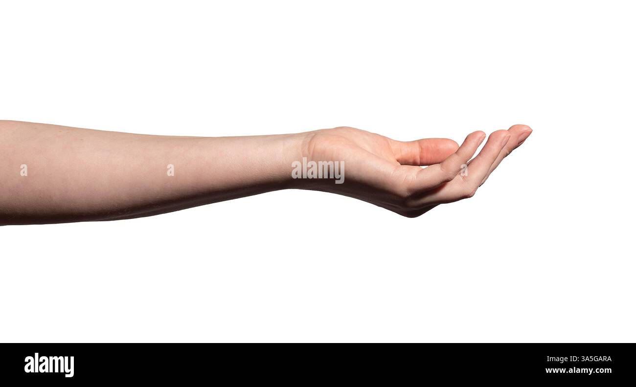 Female hand in a cupped gesture, palm up and slightly curved ...