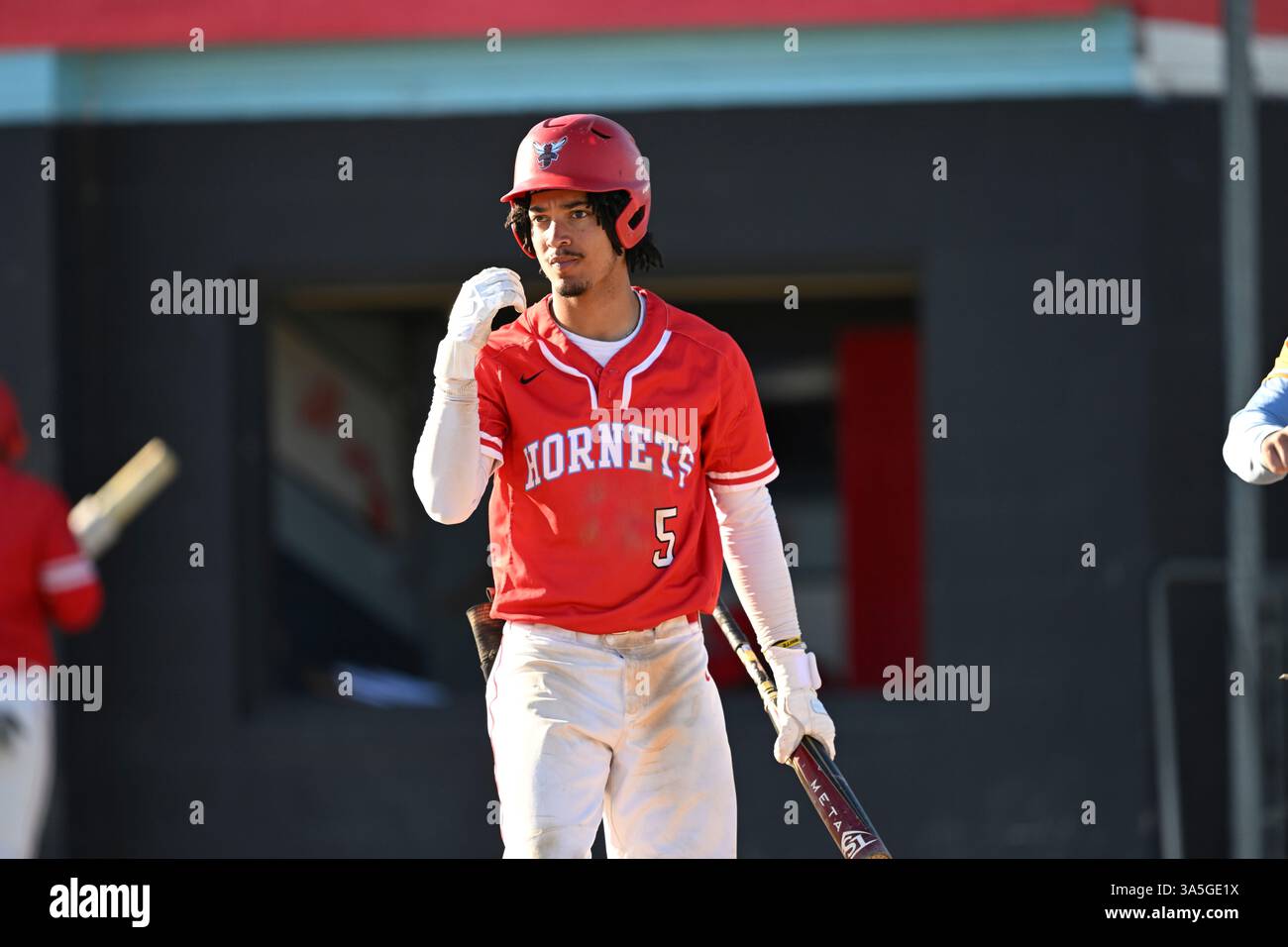 Delaware St.'s Brady Daniels bats during an NCAA baseball game on ...