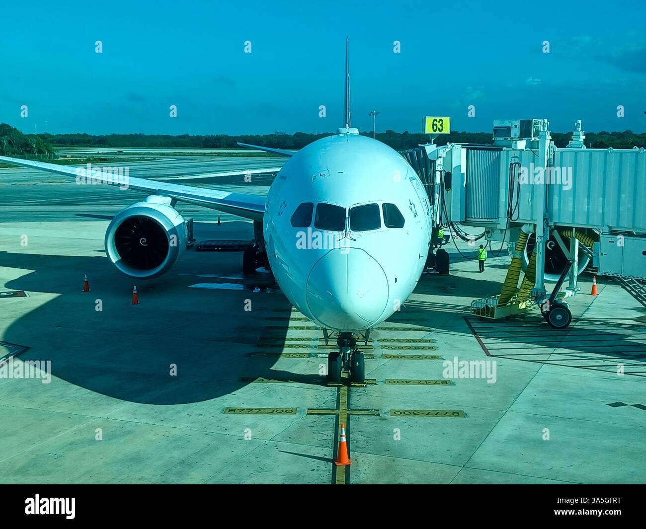 Cancun, Quintana Roo, Mexico – November 26, 2024: A Boeing 787 ...