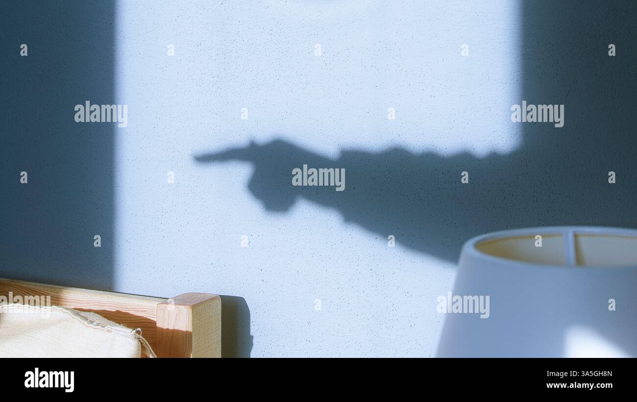 Pointing Finger Shadow – Accusation, Blame, and Direction Symbol Stock ...