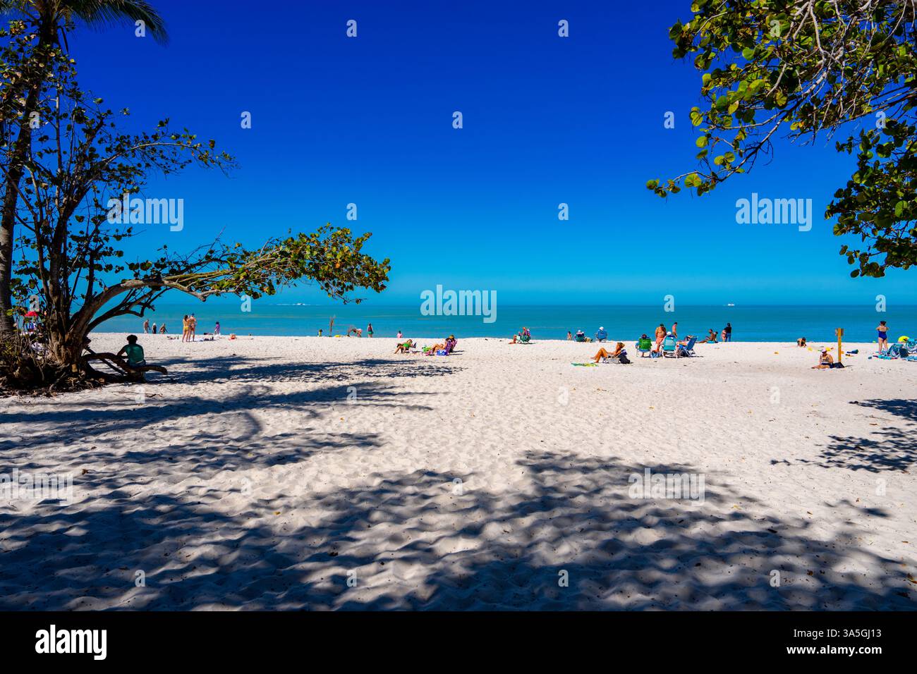 2025 spring break naples beach hi-res stock photography and images - Alamy