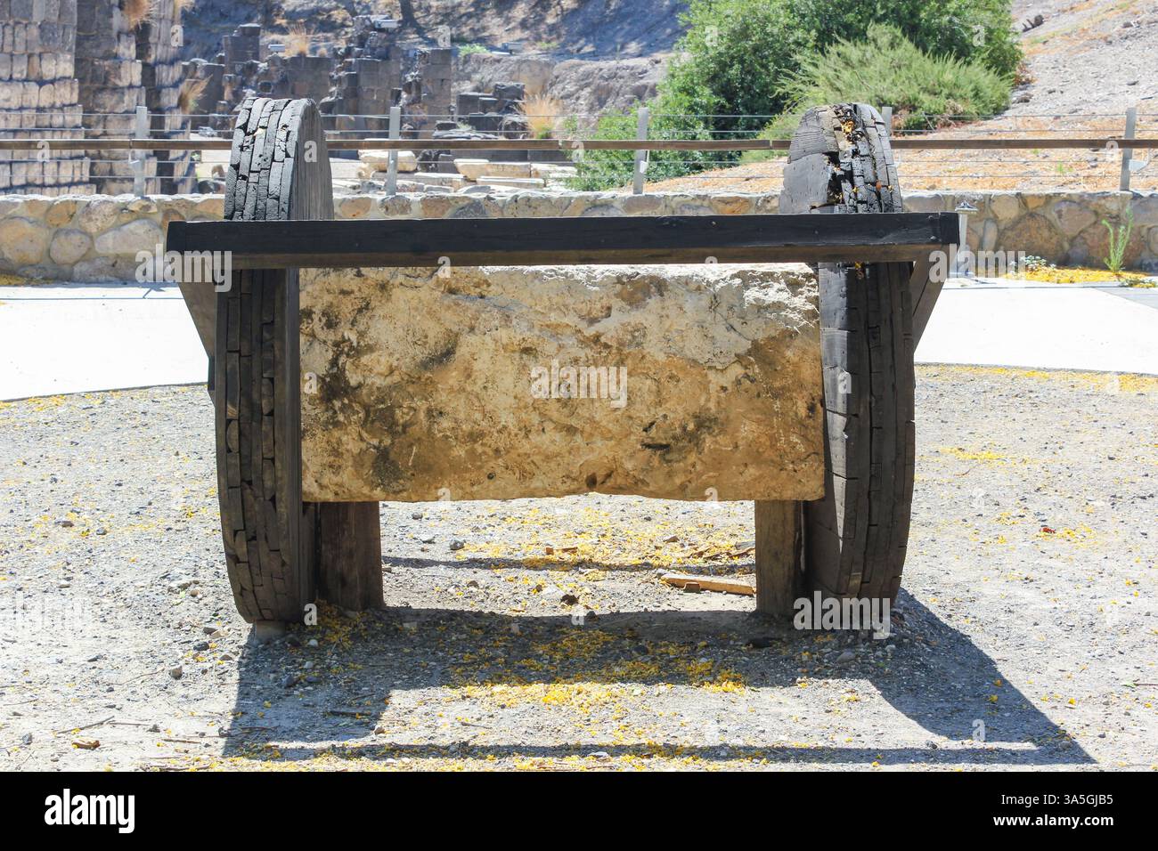 Metagenes hi-res stock photography and images - Alamy