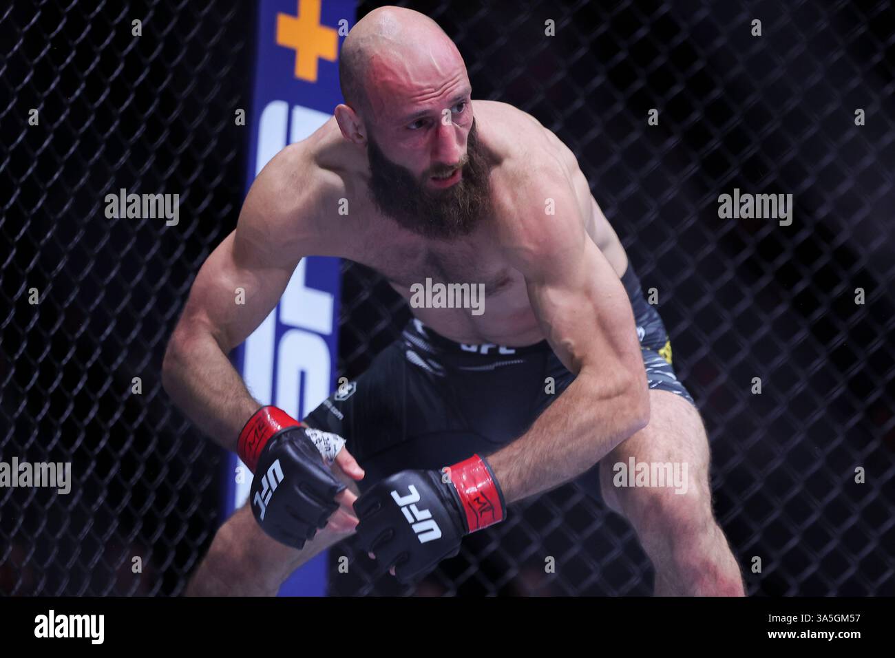 22nd March 2025; O2 Arena, London, England; UFC Fight Night London ...