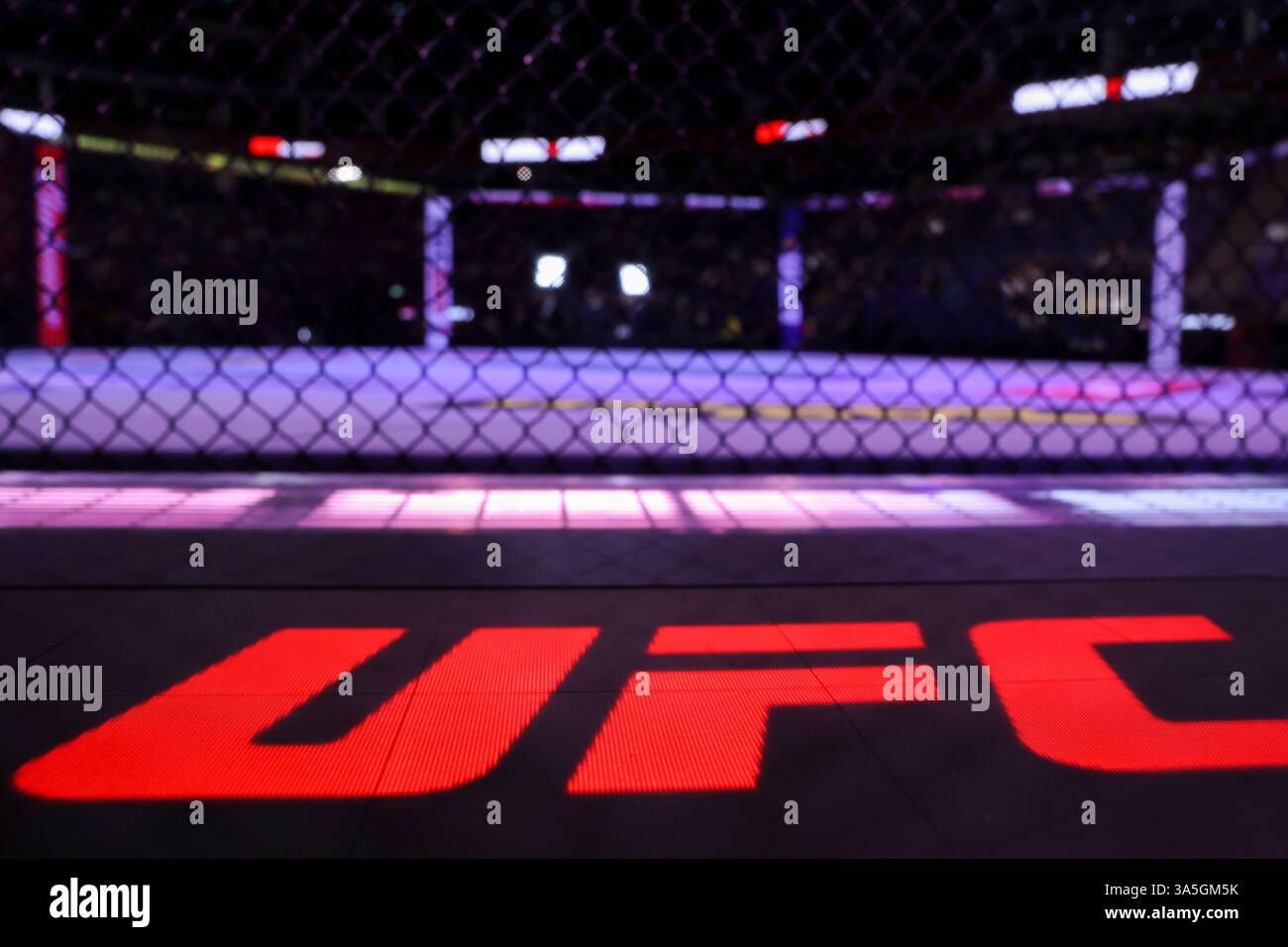 22nd March 2025; O2 Arena, London, England; UFC Fight Night London ...