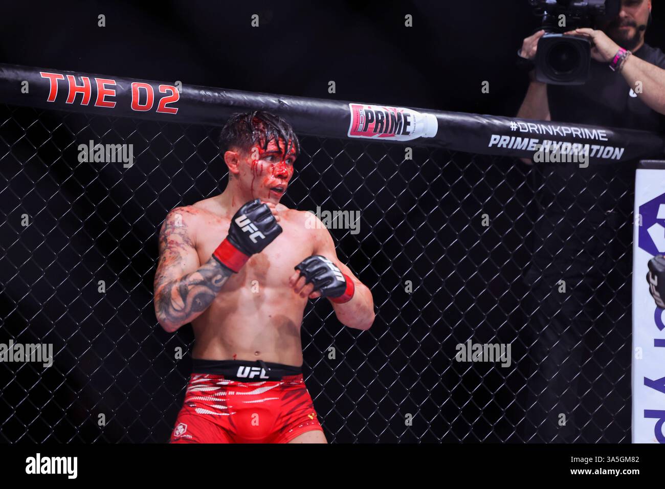22nd March 2025; O2 Arena, London, England; UFC Fight Night London ...
