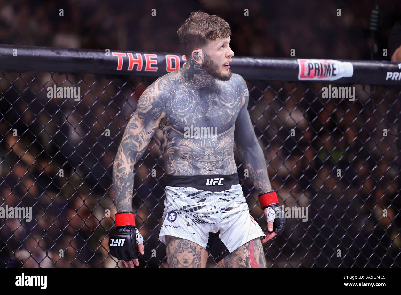 22nd March 2025; O2 Arena, London, England; UFC Fight Night London ...