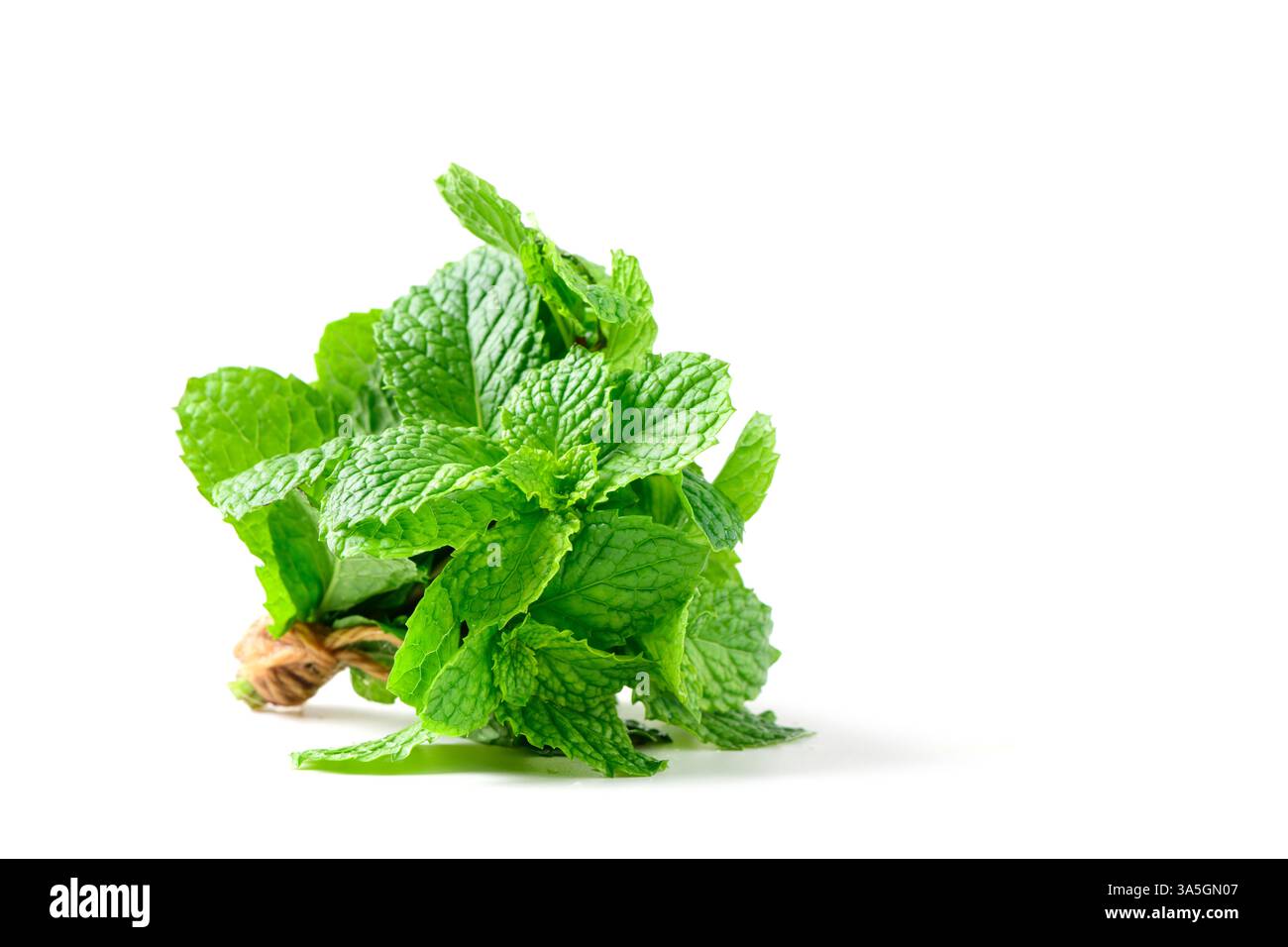 Fresh peppermint isolated on white background. Peppermint is a hybrid ...