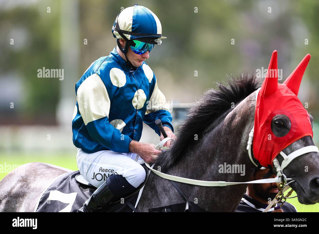 22nd March 2025; Rosehill Gardens Racecourse, Rosehill, Sydney ...