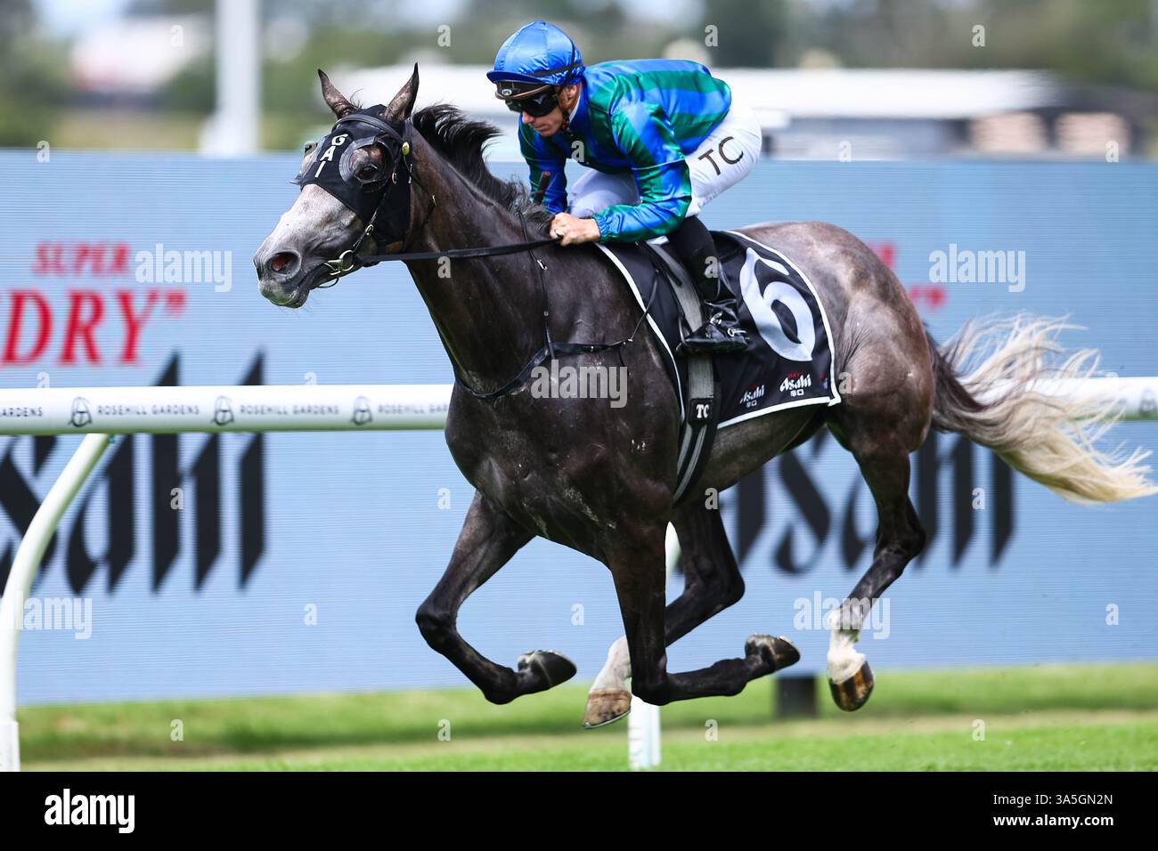 22nd March 2025; Rosehill Gardens Racecourse, Rosehill, Sydney ...