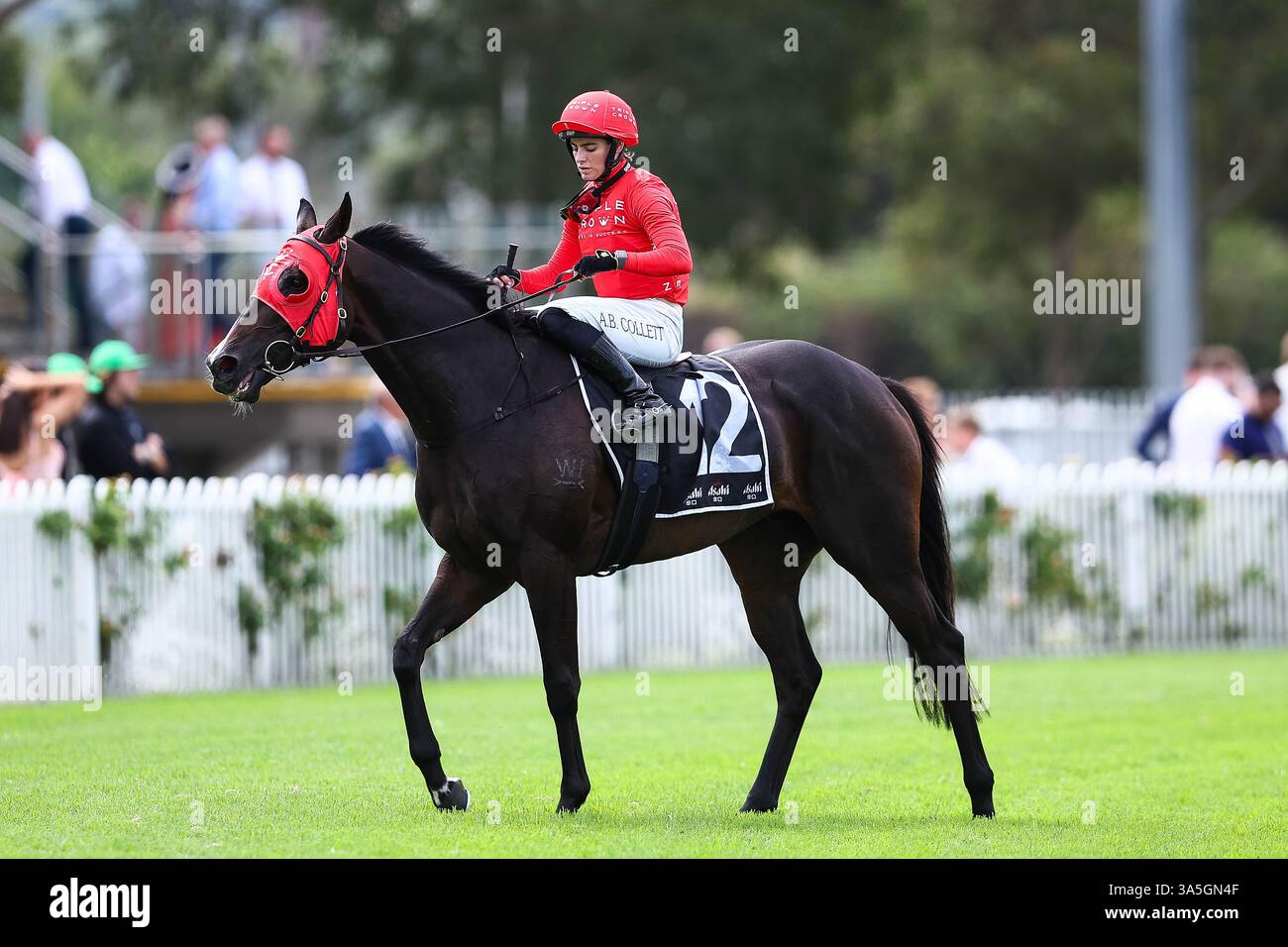 22nd March 2025; Rosehill Gardens Racecourse, Rosehill, Sydney ...