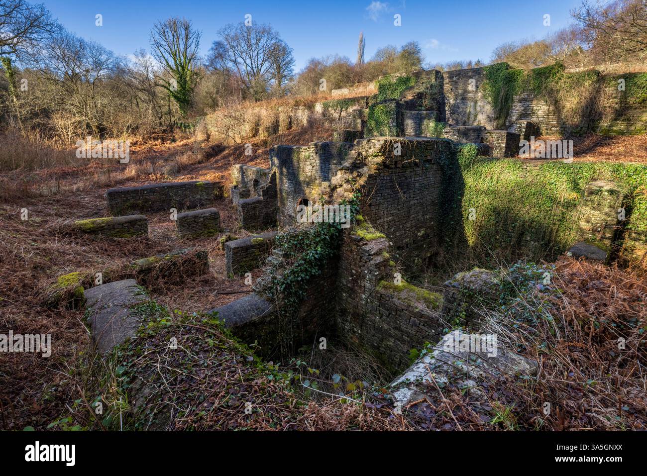 The ruins of the historic Darkhill Iron Works in the Forest of Dean ...