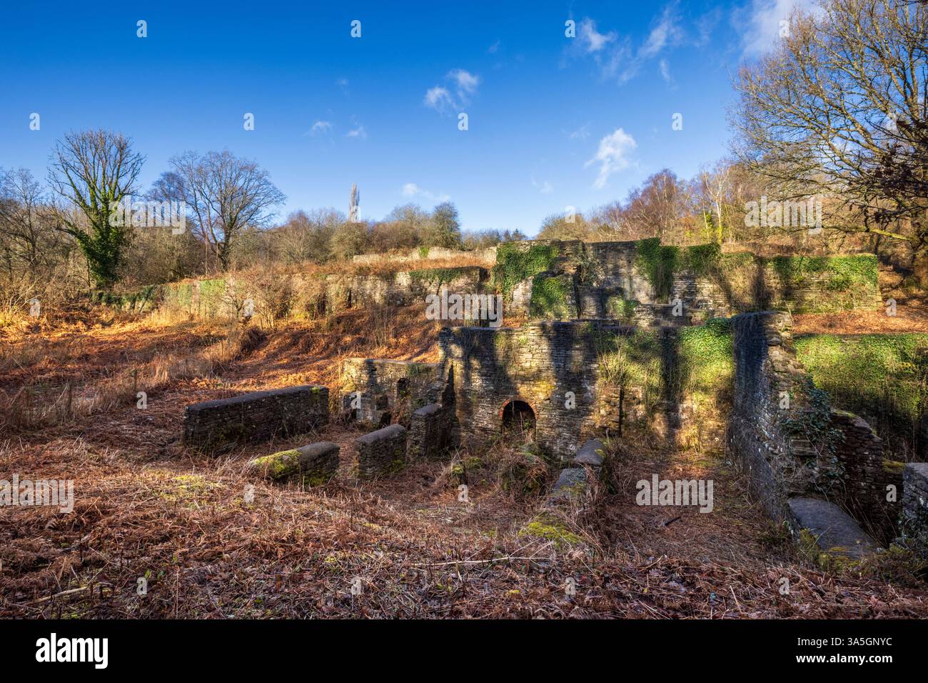The ruins of the historic Darkhill Iron Works in the Forest of Dean ...