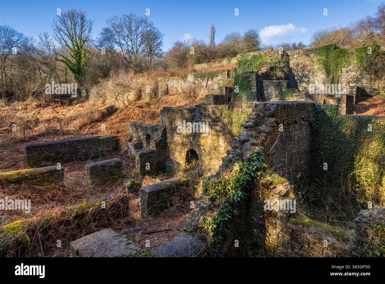 The ruins of the historic Darkhill Iron Works in the Forest of Dean ...