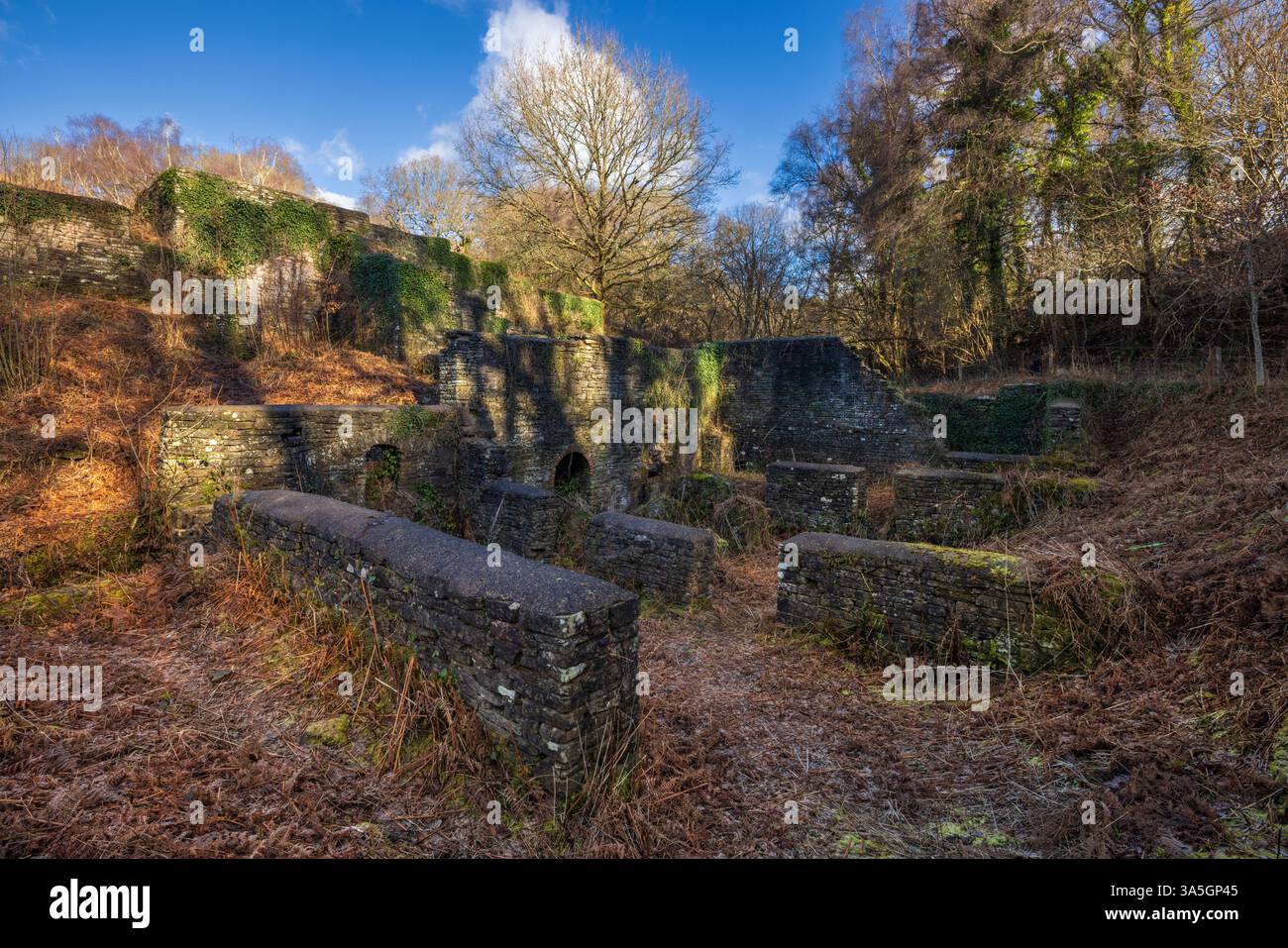 The ruins of the historic Darkhill Iron Works in the Forest of Dean ...