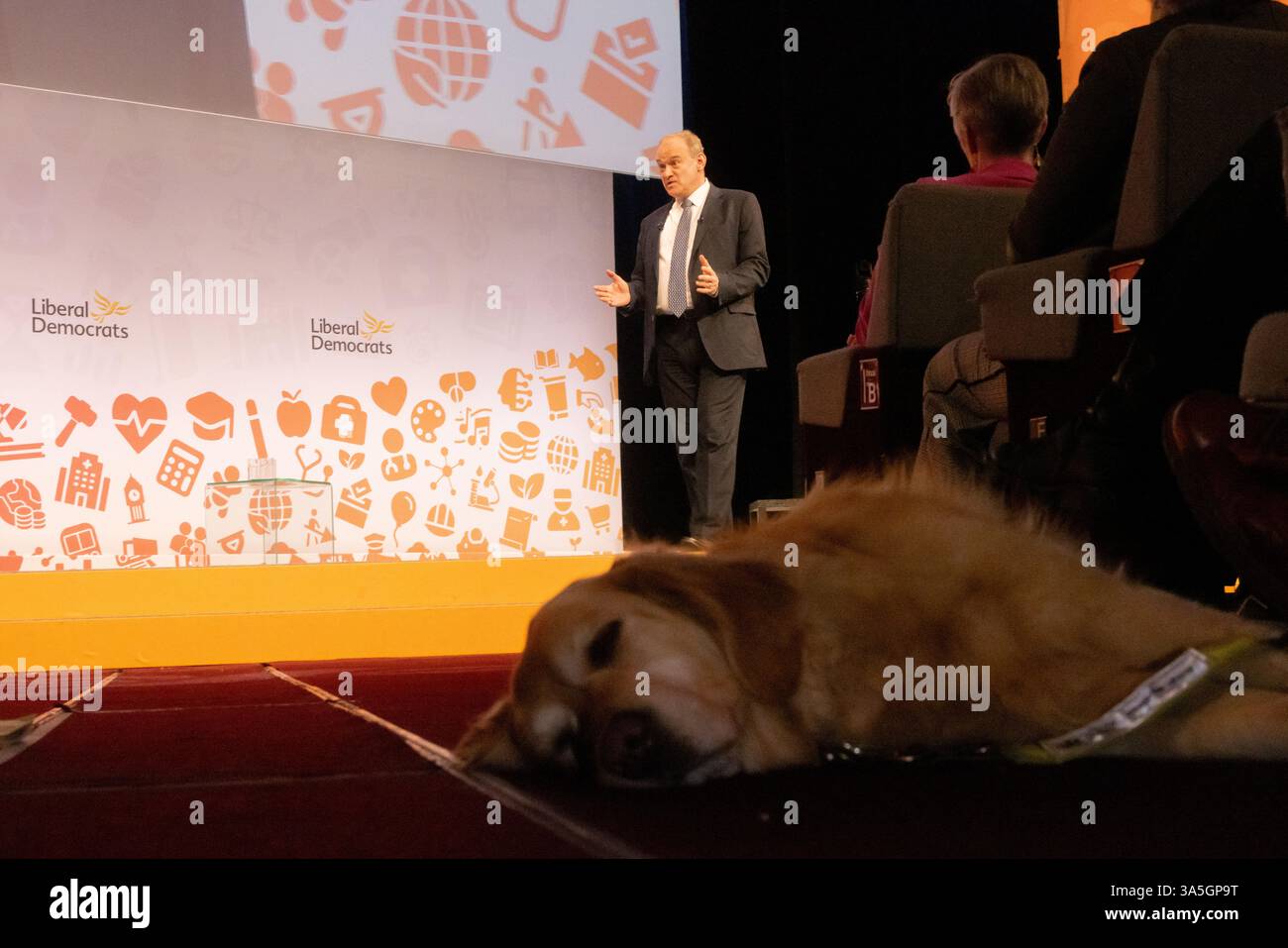 Harrogate, UK. 23 MAR, 2025. Naughty dog Jennie (Steve Darling's guide ...