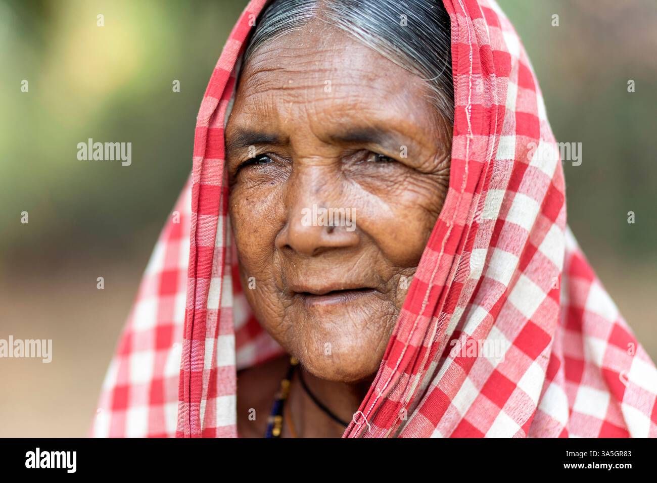 Local old woman posing for a photo in traditional indian clothes in ...