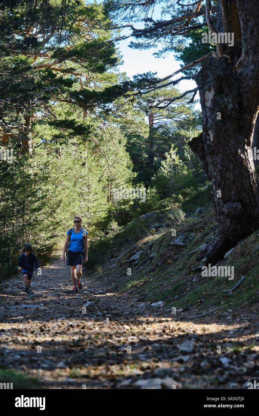Mother teaches her son to follow a route through the forest with a ...