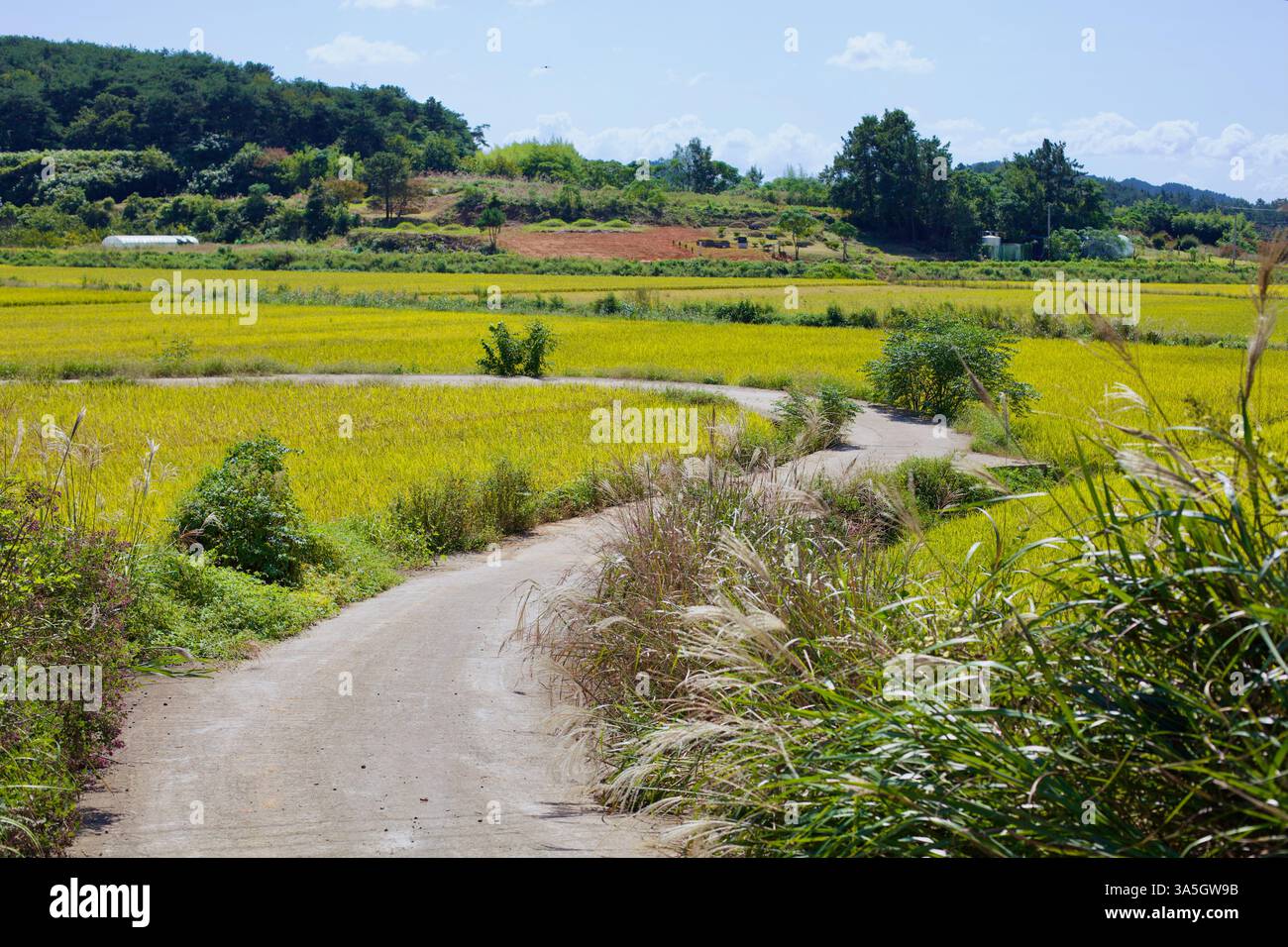 Naju City, South Korea - September 24, 2020: A narrow, winding concrete ...