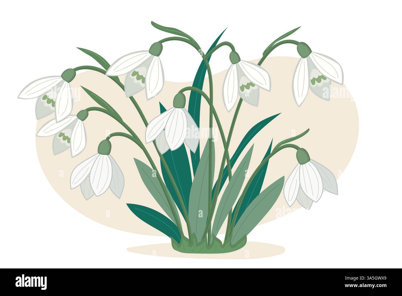 White flower serenity Stock Vector Images - Alamy