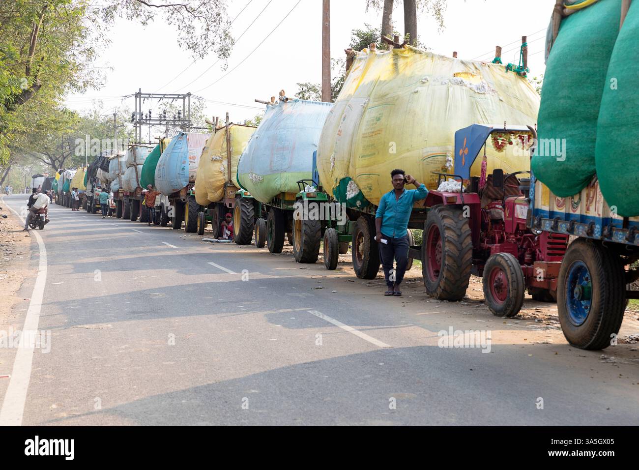 Tractors fully loaded waiting in line during cotton harvest in Orissa ...
