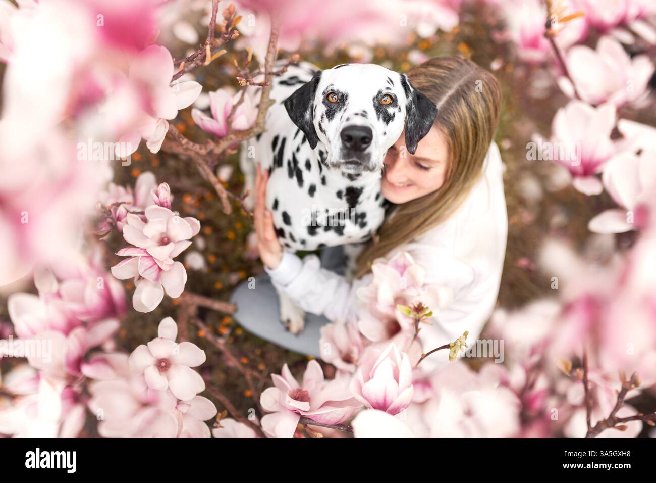 Spring feels hi-res stock photography and images - Alamy