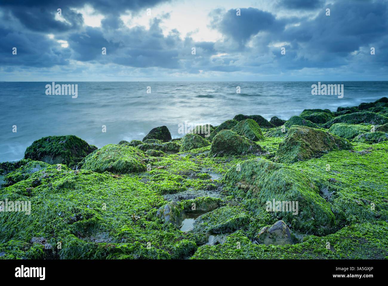 Rocks on the zeeland coast of the netherlands hi-res stock photography ...