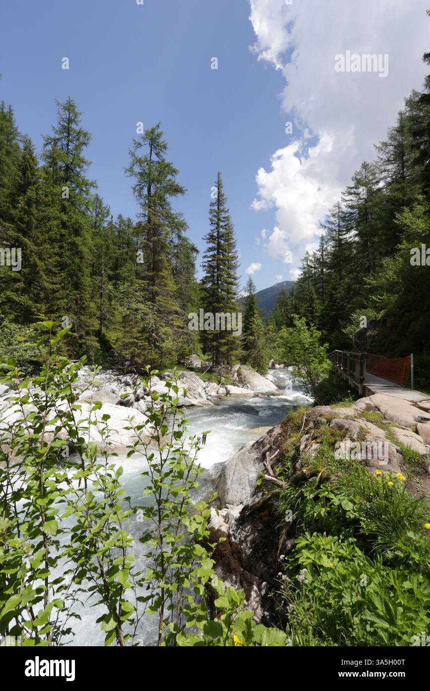 France Haute-Savoie vallée de Chamonix Vallorcine : forêt et rivière ...