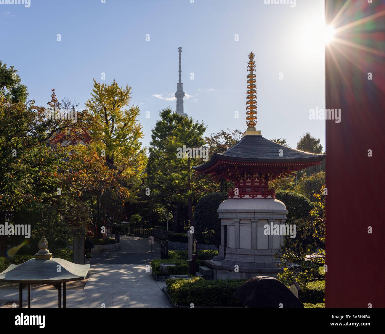 Sunlight streams through trees at Senso-ji Temple in Tokyo, Japan ...