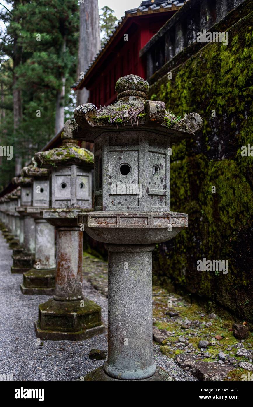 Row of ancient stone lanterns covered in moss lines a temple path at ...