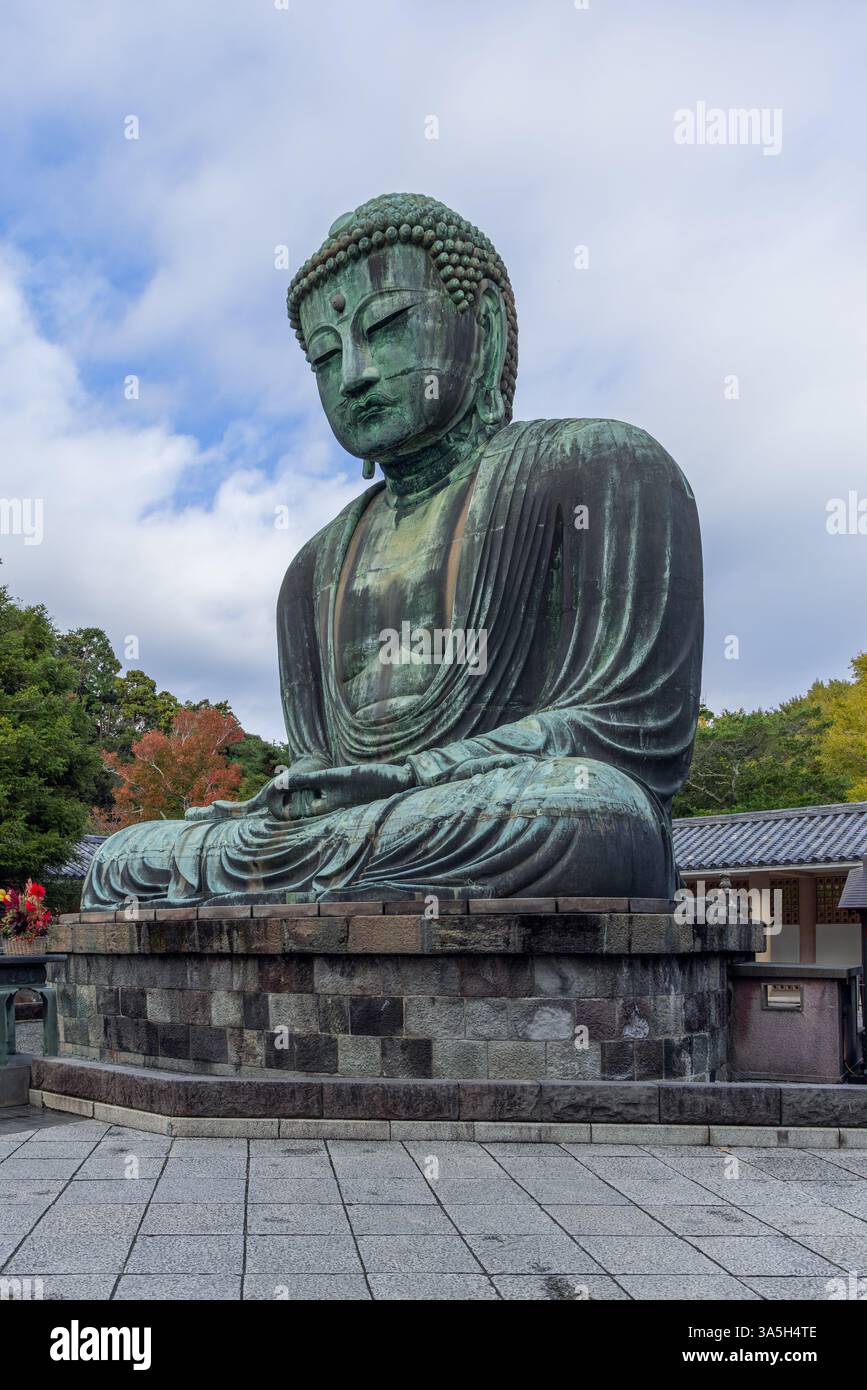 Side view of the Great Buddha statue at Kotoku-in temple in Kamakura ...