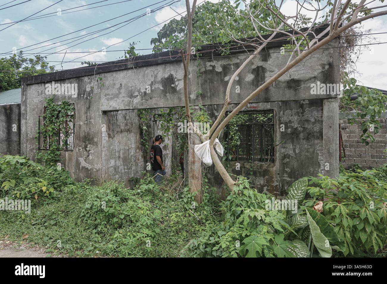 Laguna, Philippines. March 23, 2025. Searching for a cobra in an ...