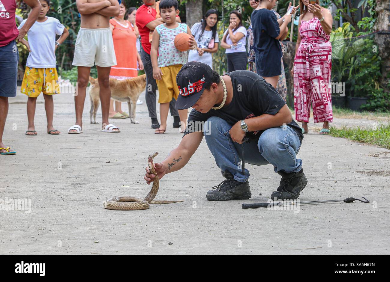 Laguna, Philippines. March 23, 2025. Capture & rescue of a Philippine ...