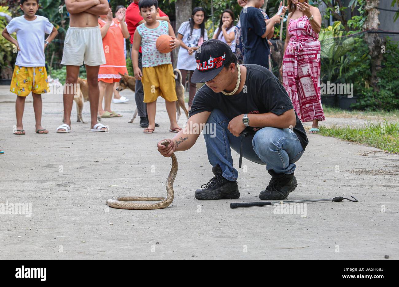 Laguna, Philippines. March 23, 2025. Capture & rescue of a Philippine ...