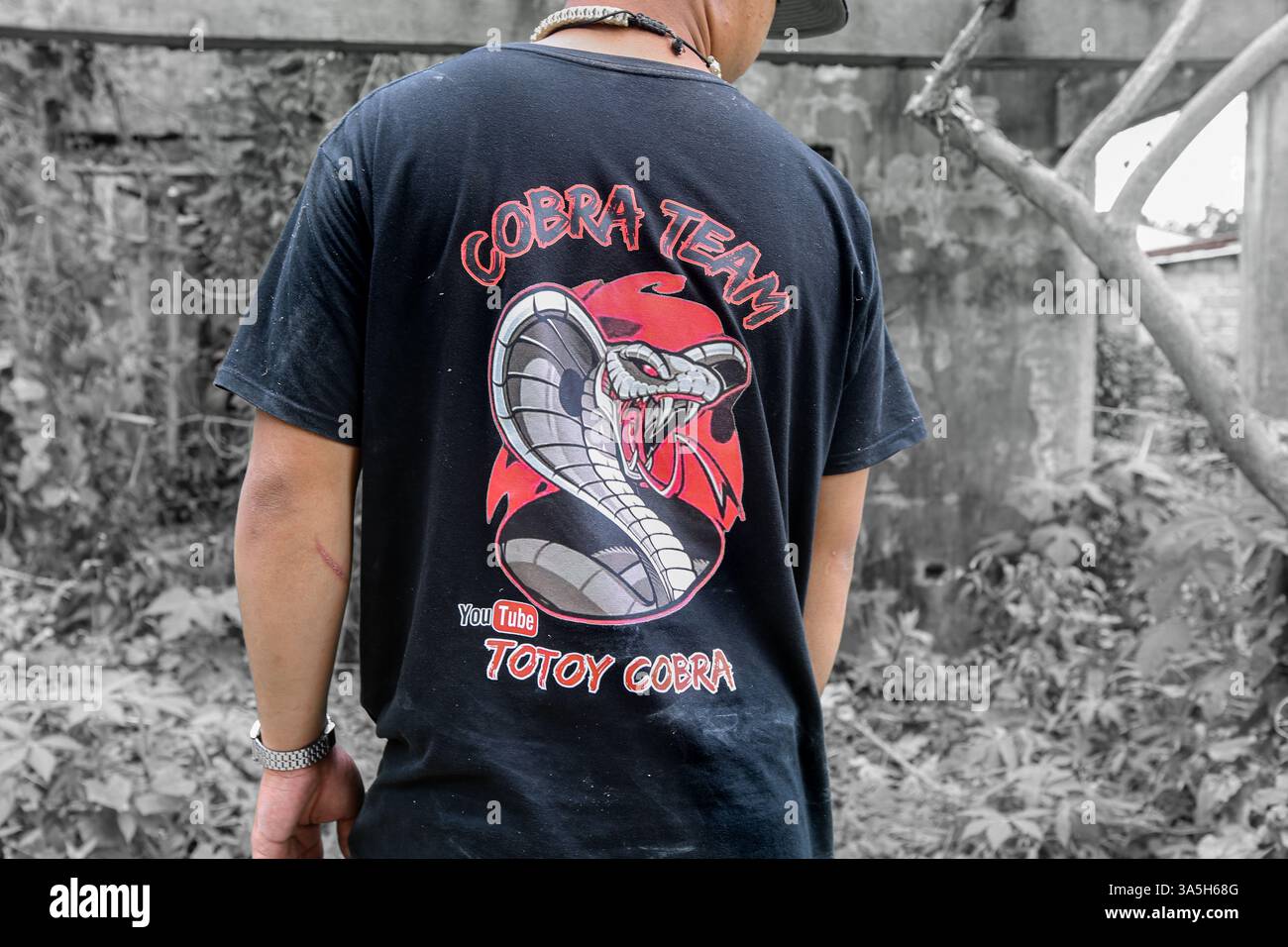 Philippine cobra naja philippinensis hi-res stock photography and ...