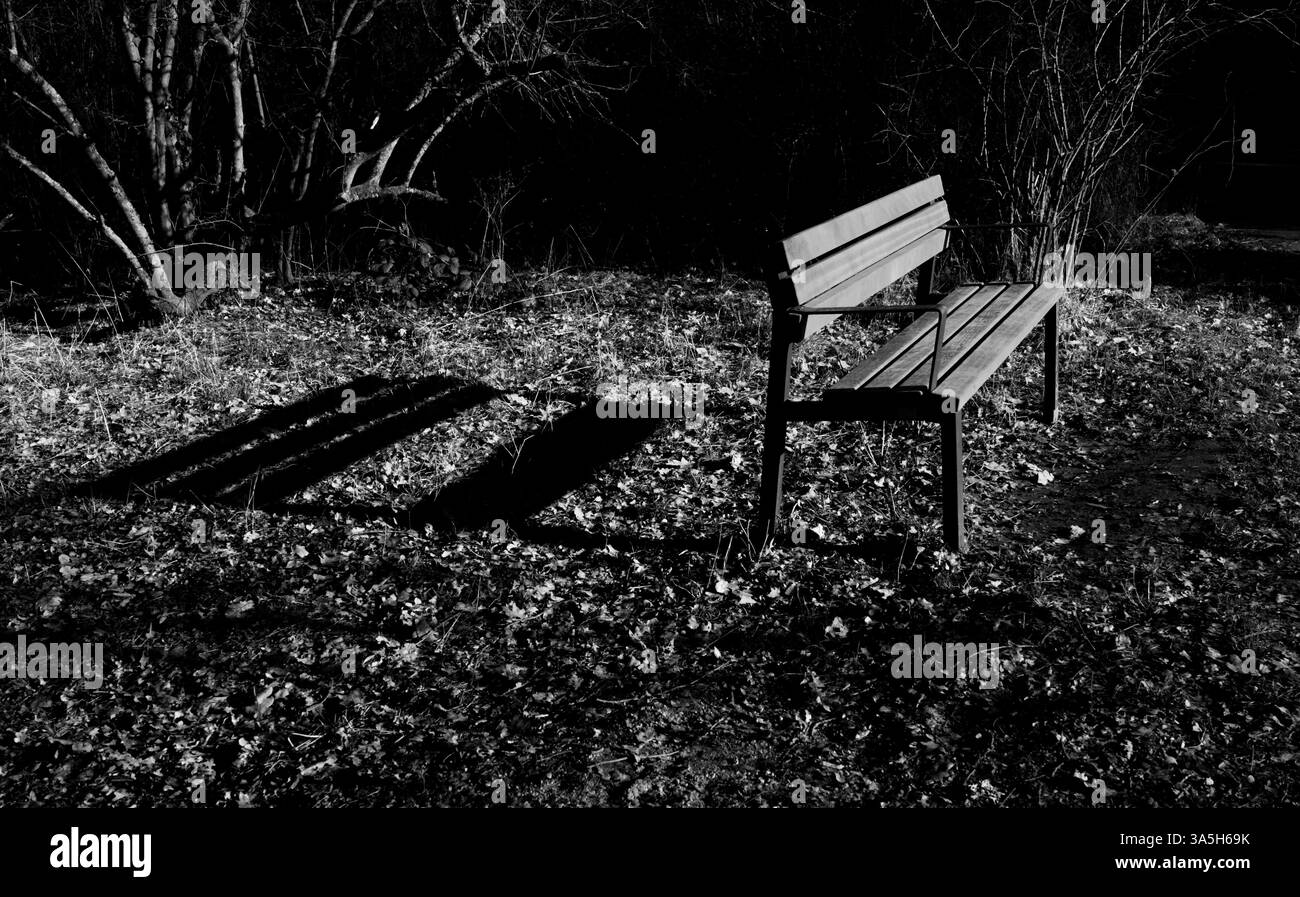 simple park bench in the evening sun with long shadows on the ground ...