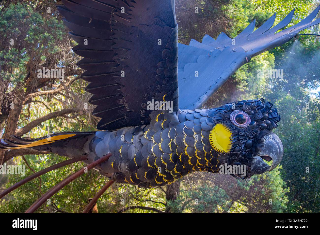 Melbourne Australia 10th Mar 2025: the sculpture of Yellow-tailed Black ...