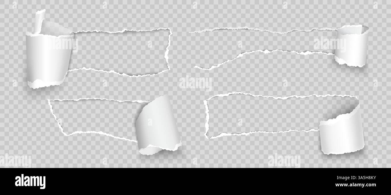 Torn paper with rolled edge. Realistic ripped and folded strips, pieces ...