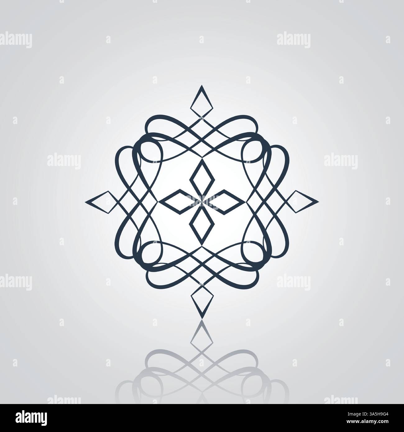 Floral ornament baroque floral border design of patterns with a silver ...