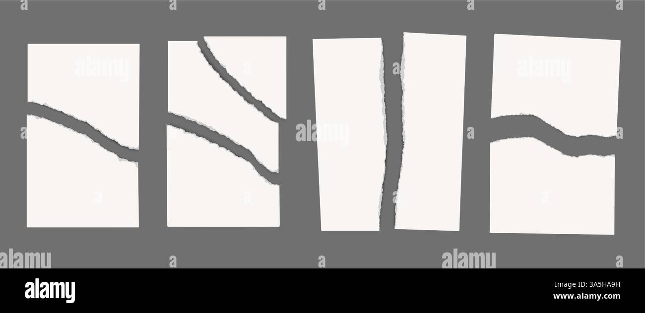 Torn paper sheets. Blank white A4 sheets in half and into pieces with ...